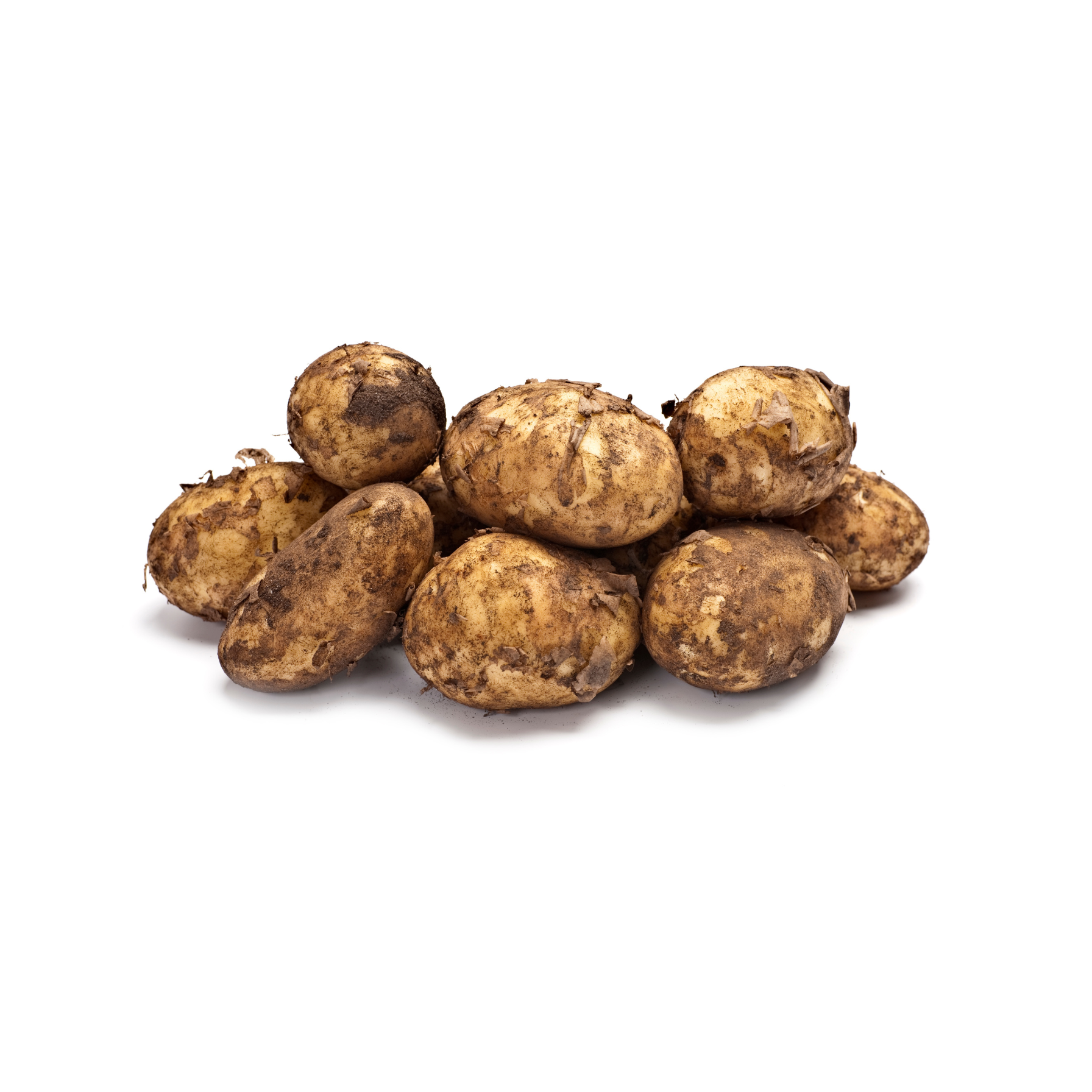 Vegetables – Pine Park Produce