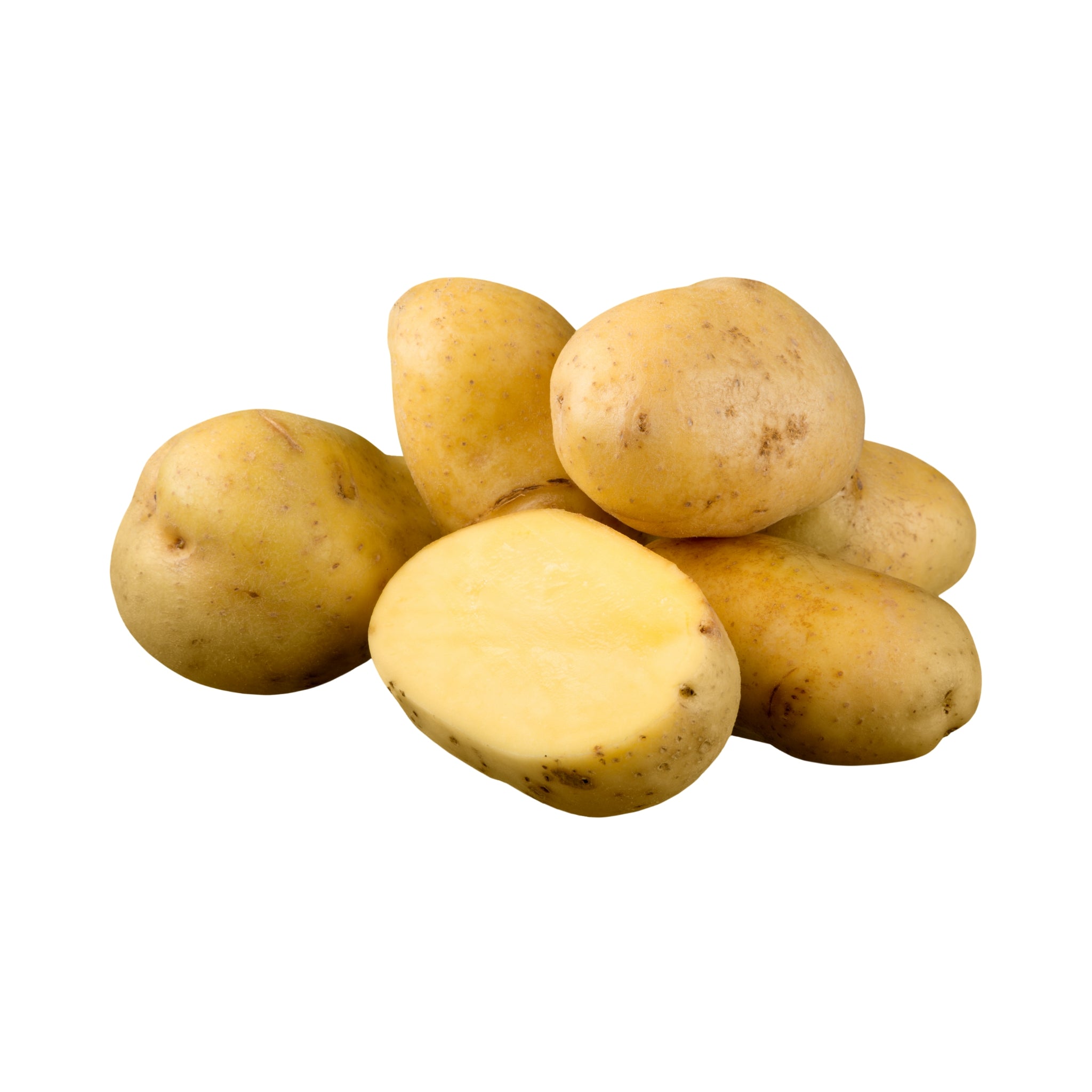 Potatoes-Agria – Pine Park Produce